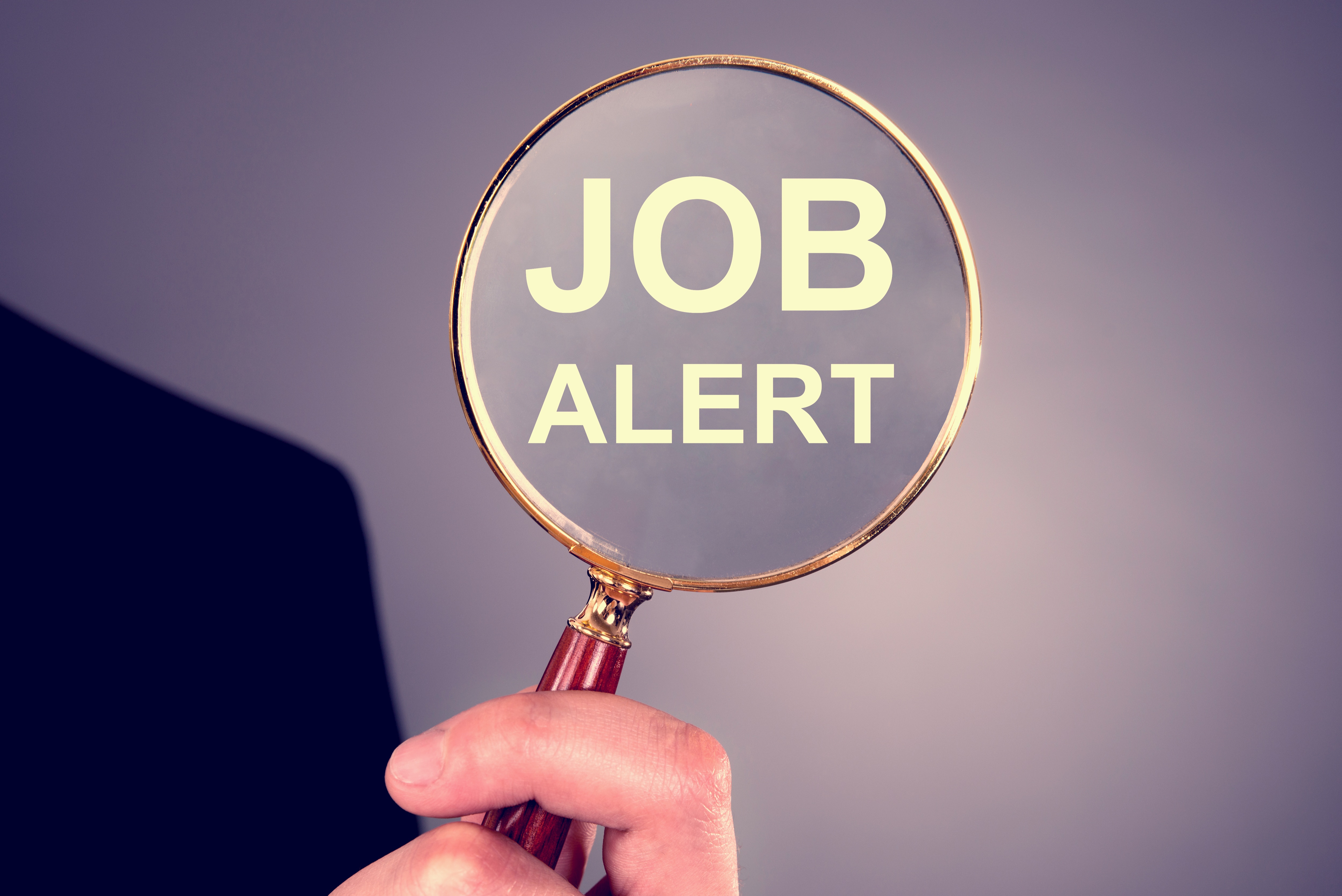Weekly Job Alert Page weekly-job-alert-page